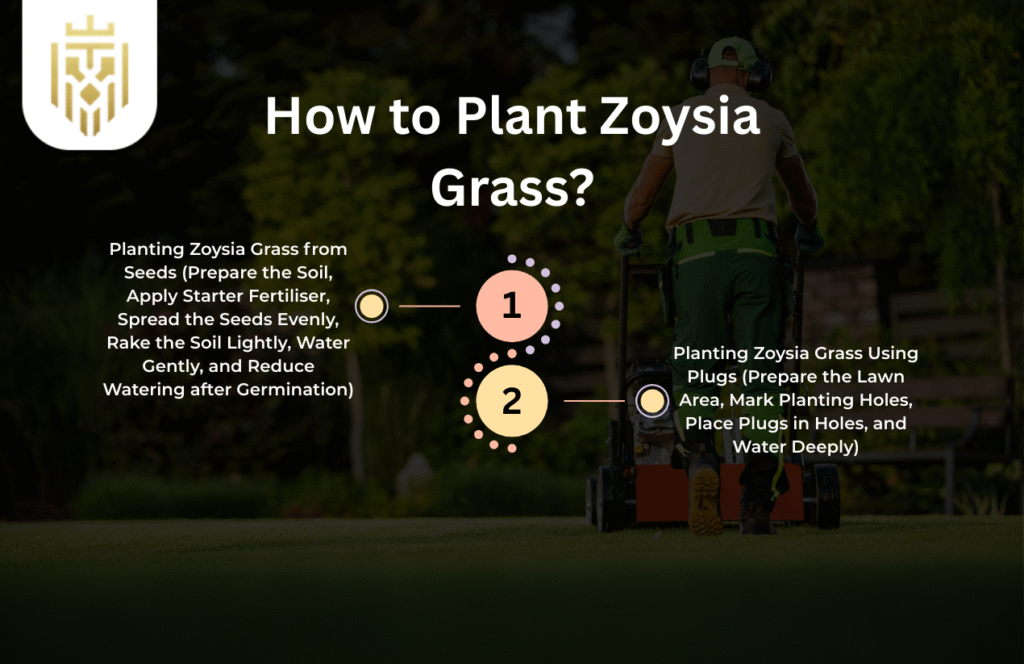 Why Zoysia Grass Is the Best for Warm-Season Lawns? | Jones Elite ...